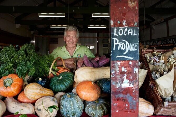 Hop on Hop off - Tamborine Rainforest Skywalk + Glow Worm Caves - Who Will Love This Tour?