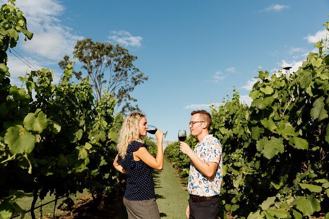 Hop on Hop off Wine tasting tour to Tamborine Mountain - Logistics, Timing, and Value