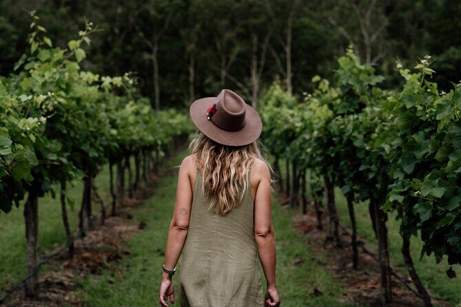 Hop on Hop off Wine tasting tour to Tamborine Mountain - What We Love About This Tour