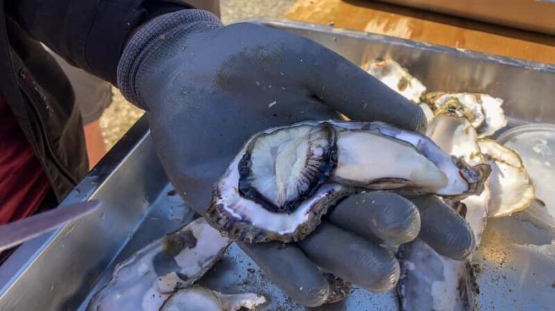 hope: Guided Cruise with Oyster Farm Visit and Lunch - Savoring the Fresh Seafood Lunch