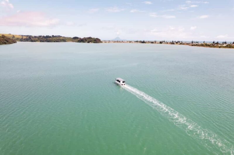 hope: Guided Cruise with Oyster Farm Visit and Lunch - The Experience — Practical Details and Tips