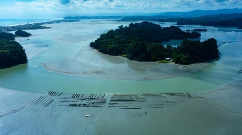 hope: Guided Cruise with Oyster Farm Visit and Lunch - Frequently Asked Questions