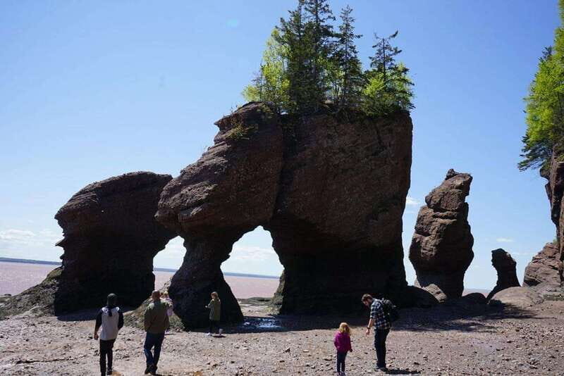 Hopewell Cape: Hopewell Rocks Admission - Practical Tips for Visiting