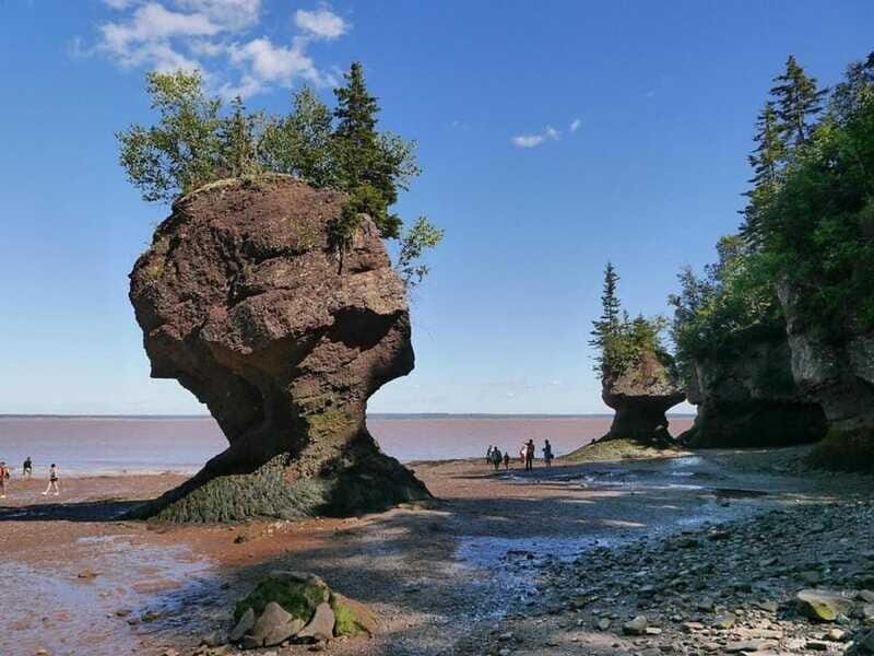 Hopewell Cape: Hopewell Rocks Admission - Final Thoughts: Who Should Visit Hopewell Rocks?