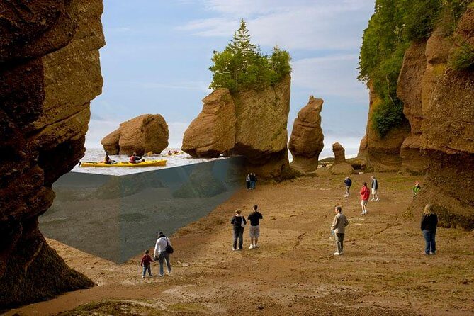 Hopewell Rocks Admission - A Deep Dive into the Hopewell Rocks Experience