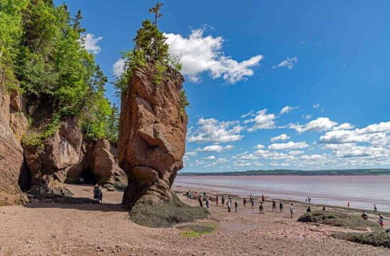 Hopewell Rocks and Fundy National Park Private Tour - Exploring the Hopewell Rocks and Fundy National Park Private Tour: An Honest Review