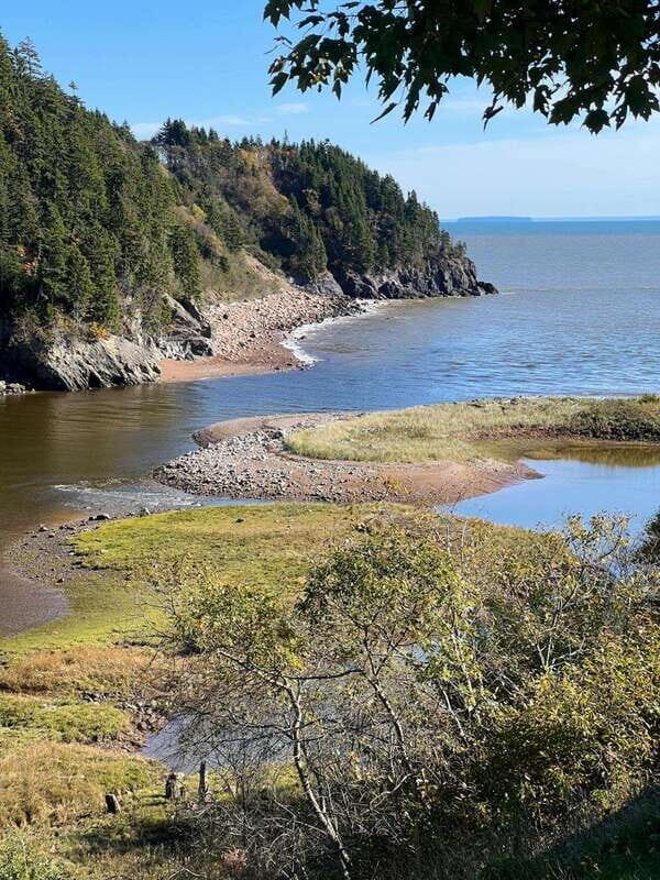 Hopewell Rocks and Fundy National Park Private Tour - Key Points