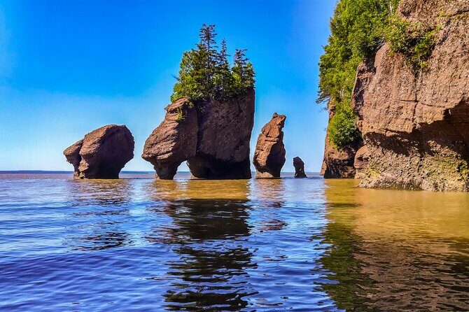 Hopewell Rocks Bay of Fundy Tour - Key Points