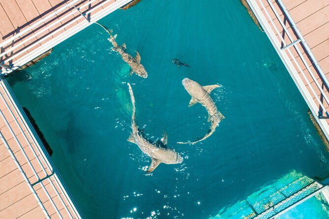 Horizontal Falls Helicopter Adventure from Broome - Price and Value Considerations