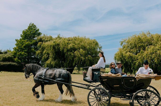 Horse and Carriage Wine Tour in Marlborough with Lunch - Practical Details and Considerations