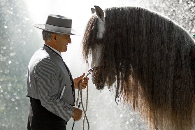Horse and Flamenco Show in Malaga - Who Will Love This Tour?