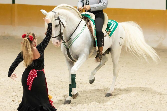 Horse and Flamenco Show in Malaga - FAQ