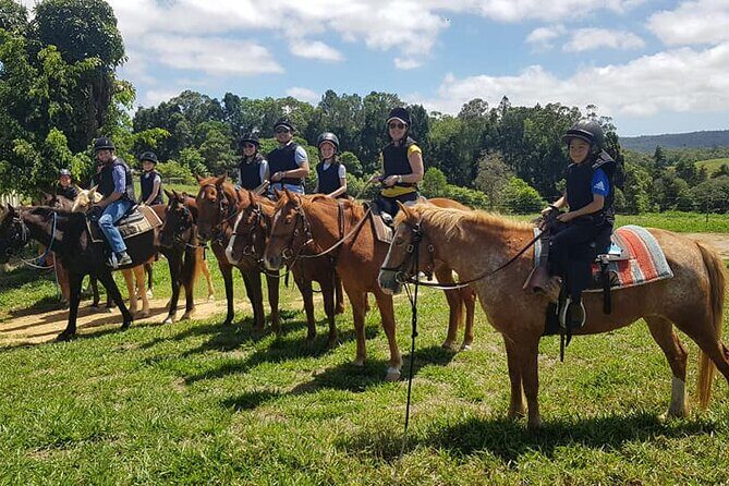 Horse and Quad bike tour with a visit to a Petting Zoo - Key Points