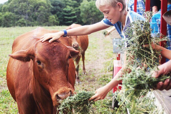 Horse and Quad bike tour with a visit to a Petting Zoo - Price and Value