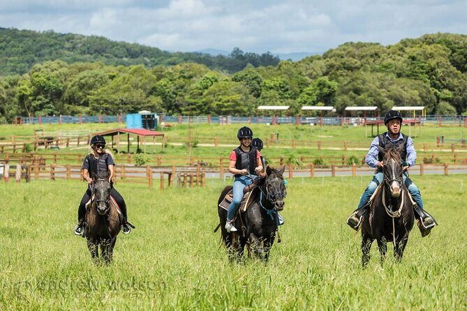 Horse and Quad bike tour with a visit to a Petting Zoo - FAQ