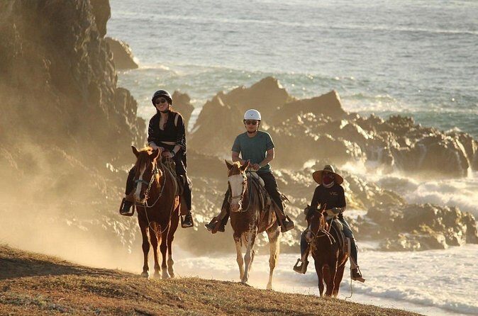 Horse Back Ridding Tour on the Pacific Ocean & Desert - The Sum Up: Is It Worth It?