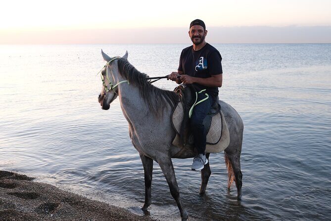 Horse back Riding in Antalya - An Overview of the Horseback Riding Tour in Antalya