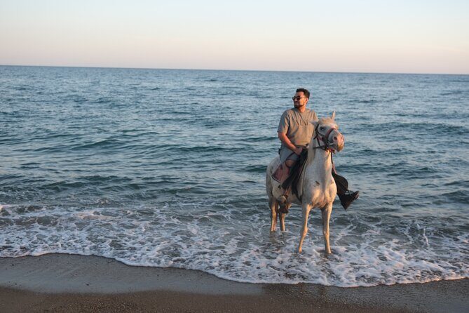Horse back Riding in Antalya - Pricing and Value