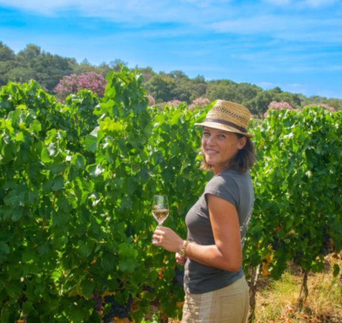 Horse back riding + wine tasting in Ramatuelle - Horseback Riding and Wine Tasting in Ramatuelle: A Practical Guide to the South of France Experience