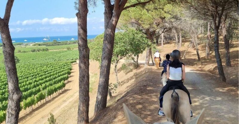 Horse back riding + wine tasting in Ramatuelle - The Itinerary: What to Expect