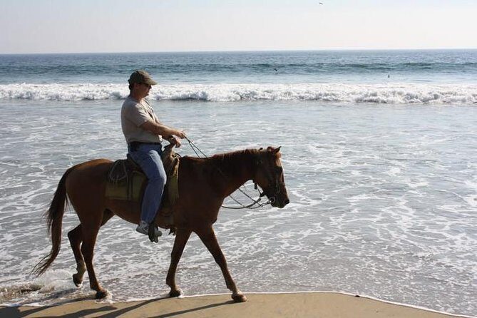 Horse Back Riding With Danitours Montain Rural Areas And Sand Beach - An Introduction to the Horseback Riding Experience in Manzanillo