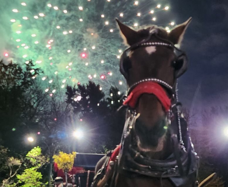 Horse Carriage Ride at Rockefeller Center & Times Square - An In-Depth Look at the Experience