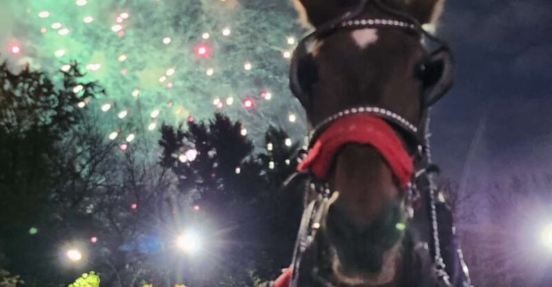 Horse Carriage Ride at Rockefeller Center & Times Square - Why This Tour Provides Good Value