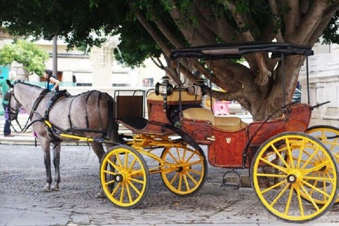Horse-Drawn Carriage Ride through Seville - Who Is This Tour Best For?