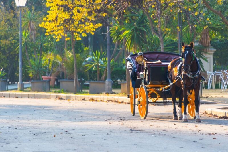 Horse-Drawn Carriage Ride Through Seville - Key Points