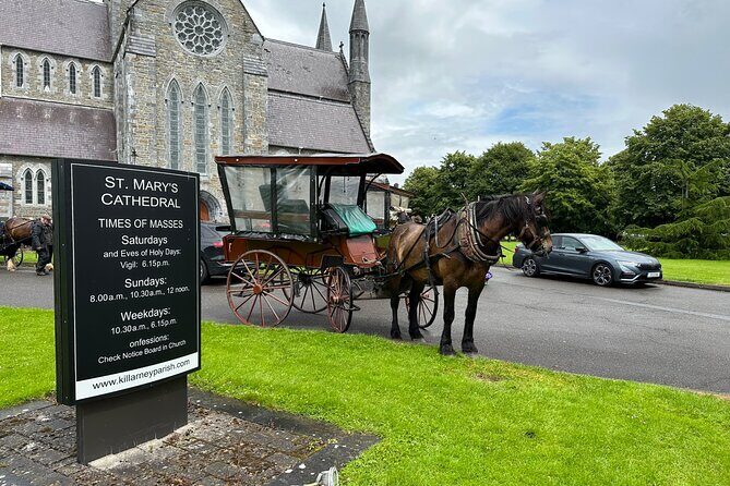 Horse-Drawn Carriage Tours in Killarney - Analyzing the Value