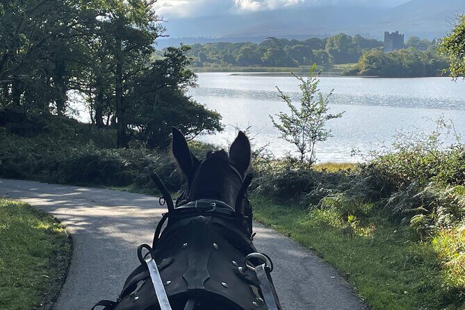 Horse-Drawn Carriage Tours in Killarney - Who Should Book This Tour?