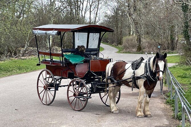 Horse-Drawn Carriage Tours in Killarney - FAQ