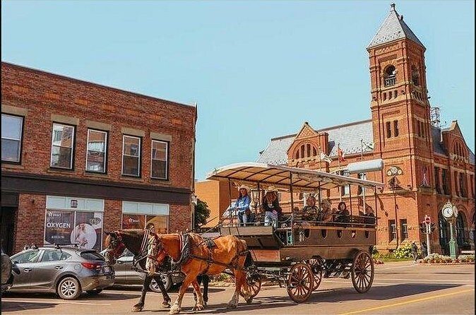 Horse Drawn Historical Guided Tour - Why This Tour Might Be Right for You