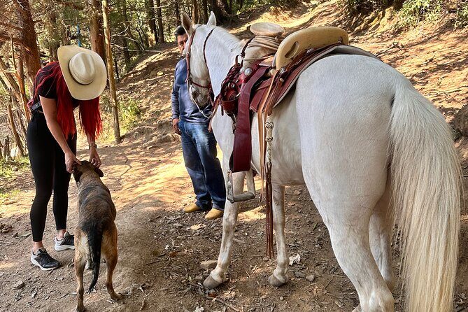 Horse experience with my family - Who Will Love This Tour?