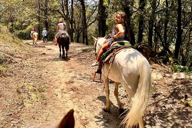 Horse experience with my family - FAQ