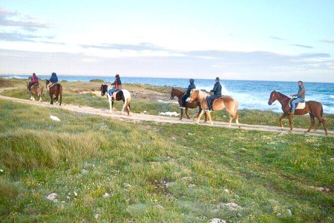 Horse ride in a Salento Nature Reserve with transfer from Lecce - What to Expect from the Horse Ride in Salento
