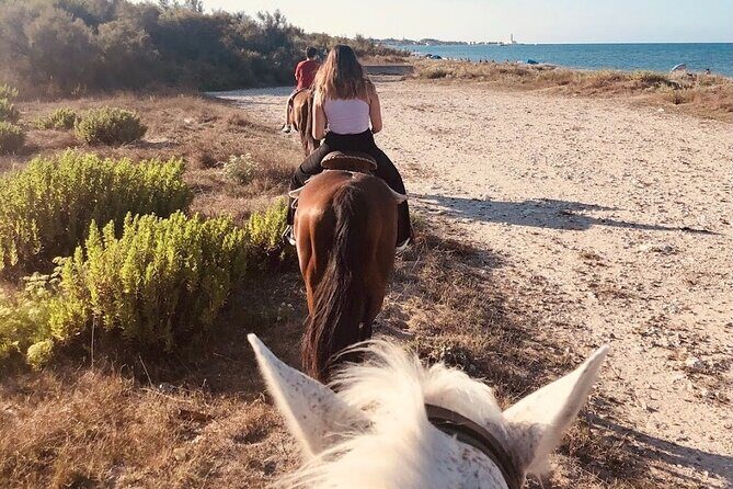 Horse ride in a Salento Nature Reserve with transfer from Lecce - FAQs