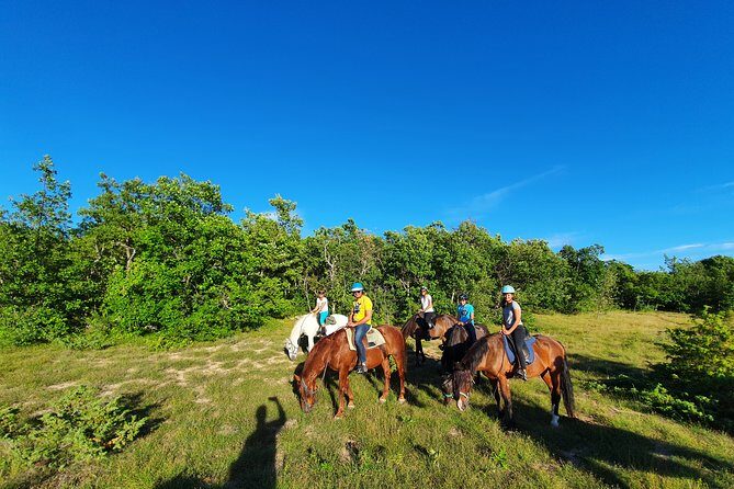 Horse ride in Haute Provence Luberon and Forcalquier - Who Will Enjoy This Experience?