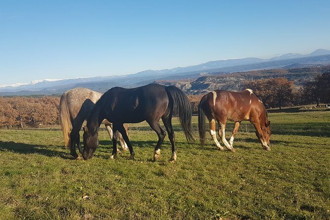 Horse ride in Haute Provence Luberon and Forcalquier - Final Thoughts