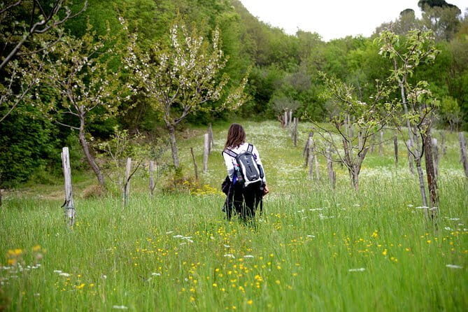 Horse ride in the Mugello (transfer from / to Florence) and Tuscan aperitif - Who Will Love This Tour?