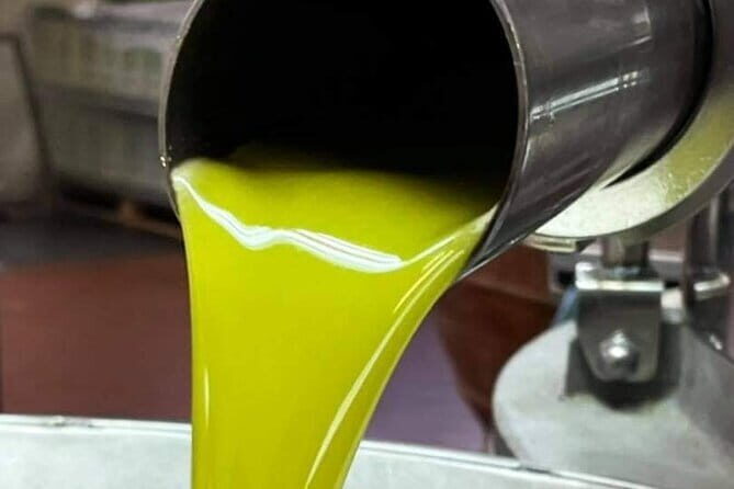 Horse ride, Olive Oil and local foods tasting in a Tuscan farm - What We Think Pros & Cons