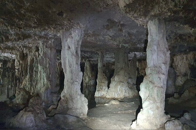 Horse Ride to Cenote Mil Columnas - An In-Depth Look at the Horse Ride to Cenote Mil Columnas