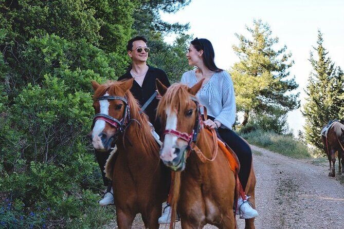 Horse Ride with Mountain Views - An Overview of the Horse Ride Experience