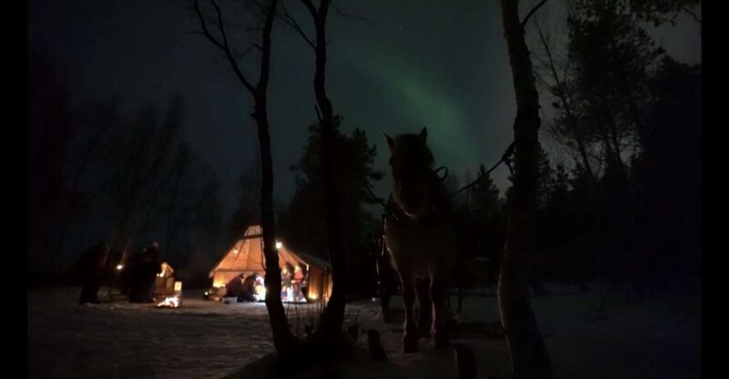 Horse riding and dining experience - Key Points