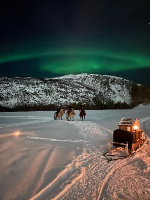 Horse riding and dining experience - What to Expect on the Horse Riding and Dining Tour