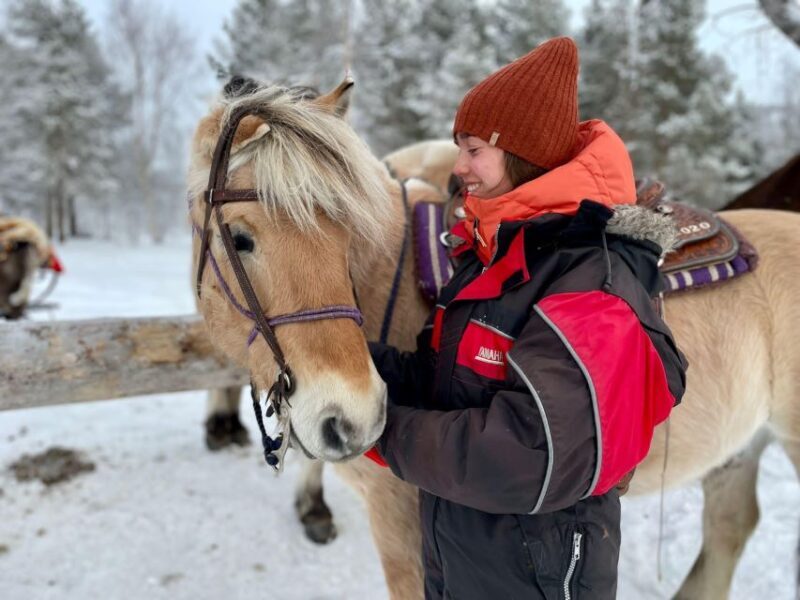 Horse riding and dining experience - What Could Be Improved?