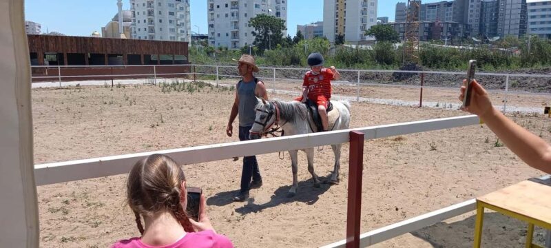 Horse Riding and Training Experience on a Farm in Antalya - Introduction: A Unique Farm Adventure Near Antalya