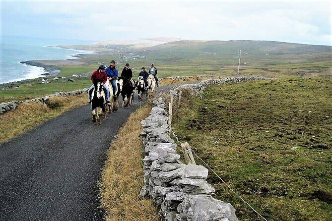 Horse riding - Dirt Trek Trail. Lisdoonvarna, Clare. Guided. 1 hour. - What to Expect from the Horse Riding Trail