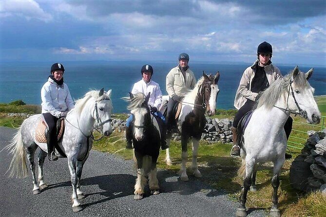 Horse riding - Dirt Trek Trail. Lisdoonvarna, Clare. Guided. 1 hour. - Pricing and Value Analysis