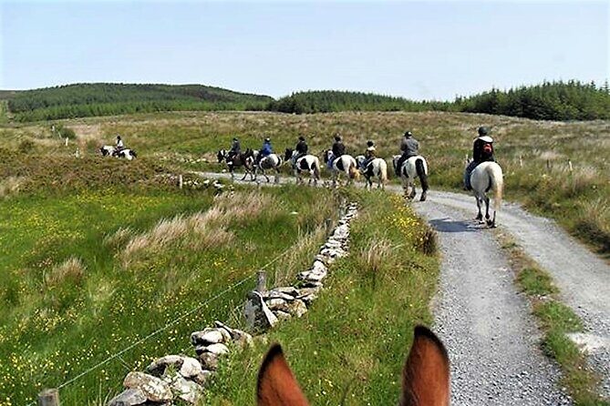 Horse riding - Dirt Trek Trail. Lisdoonvarna, Clare. Guided. 1 hour. - Authentic Feedback from Riders